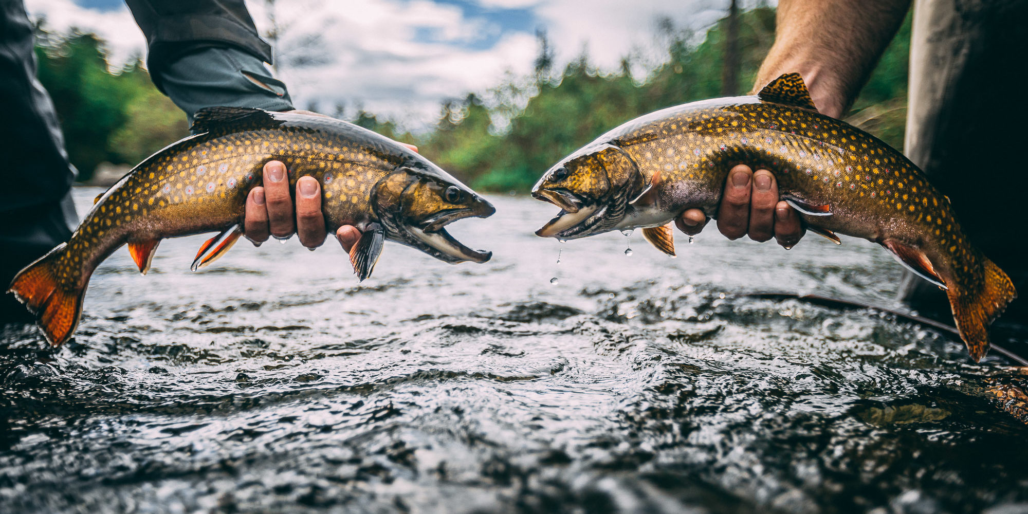 Fishing Adventures with Brook Trout | Eastbound and Trout